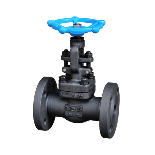 Globe Valve – MIWIVAL