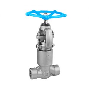 Globe Valve – MIWIVAL