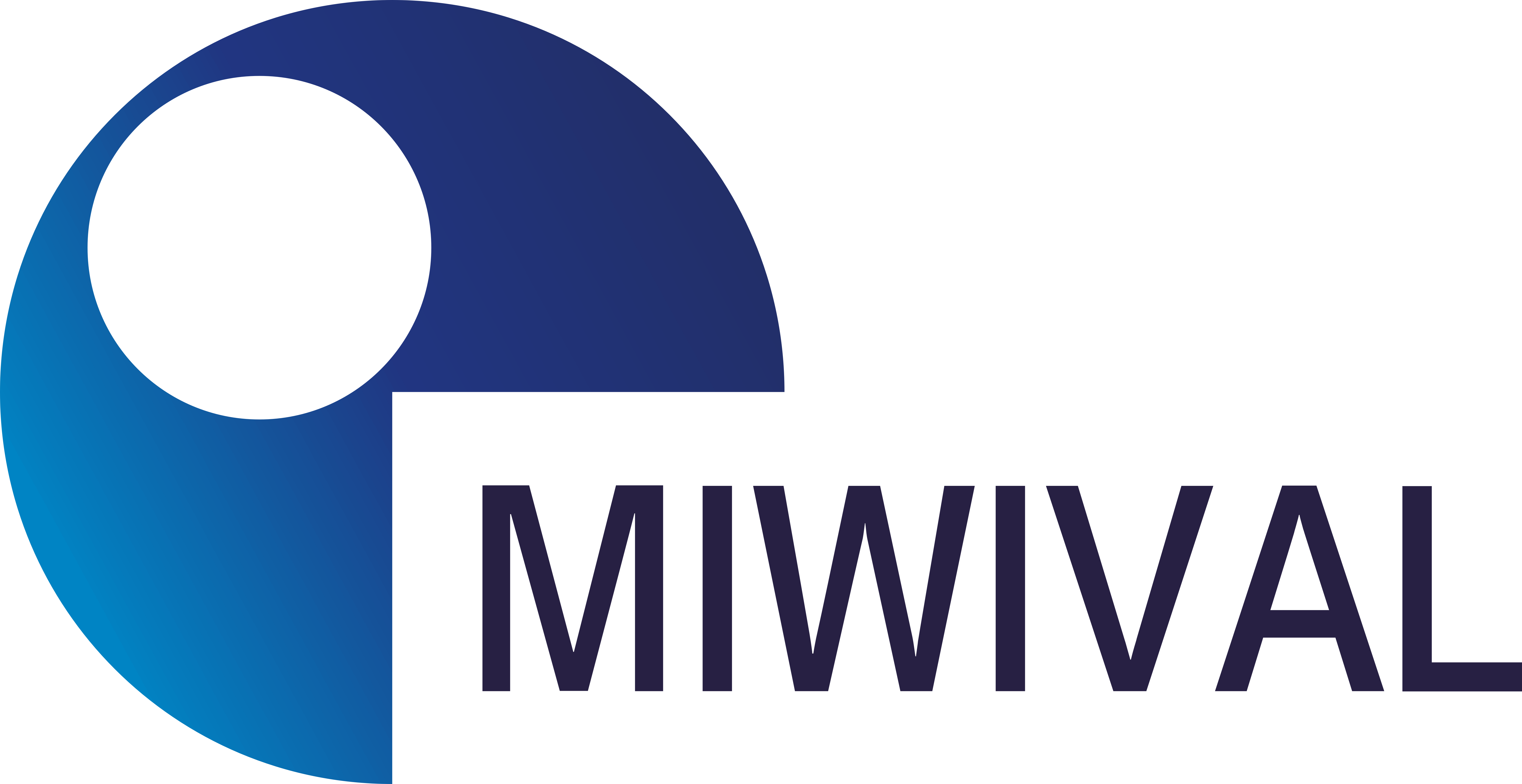 Global Industrial Valve Project Cases & Application Examples-Miwival