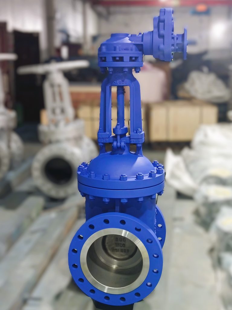 WC6 Gear Operated 12″ Wedge Gate Valve – MIWIVAL