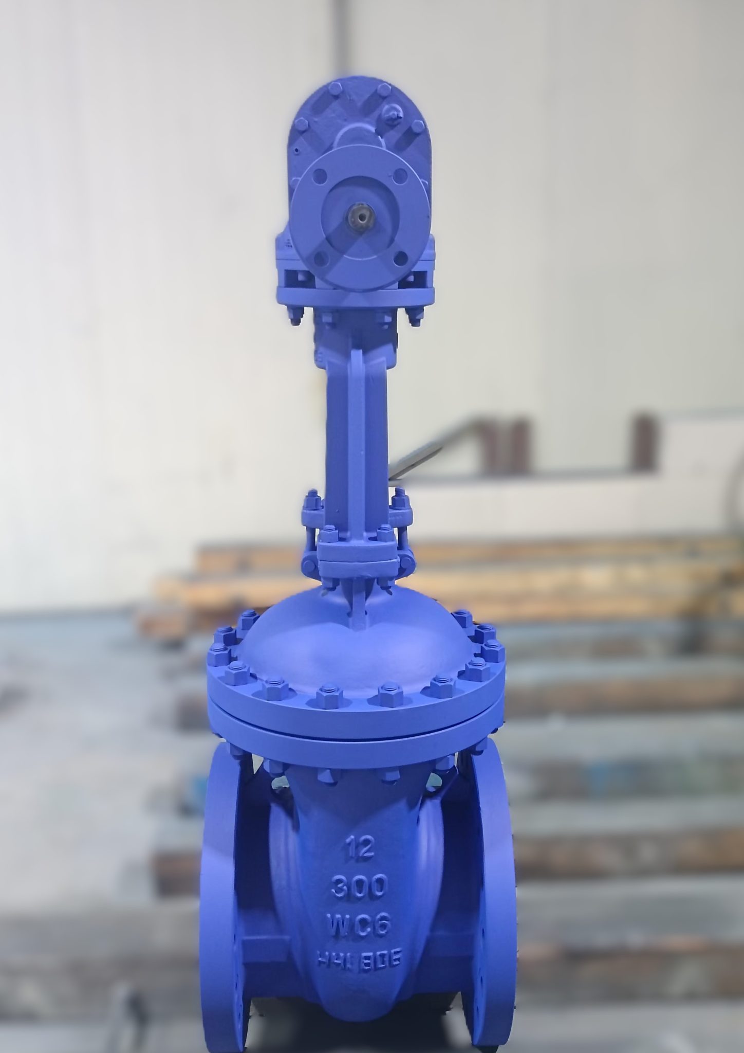 WC6 Gear Operated 12″ Wedge Gate Valve – MIWIVAL