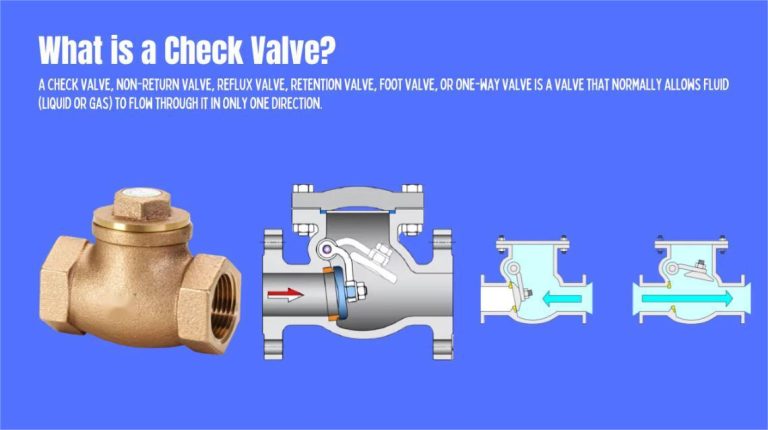 Check Valve Fundamentals: Understanding Its Mechanism and Function