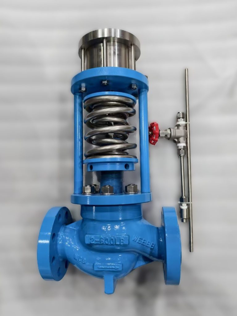C5 Painting Self-regulated Globe Control Valves – MIWIVAL