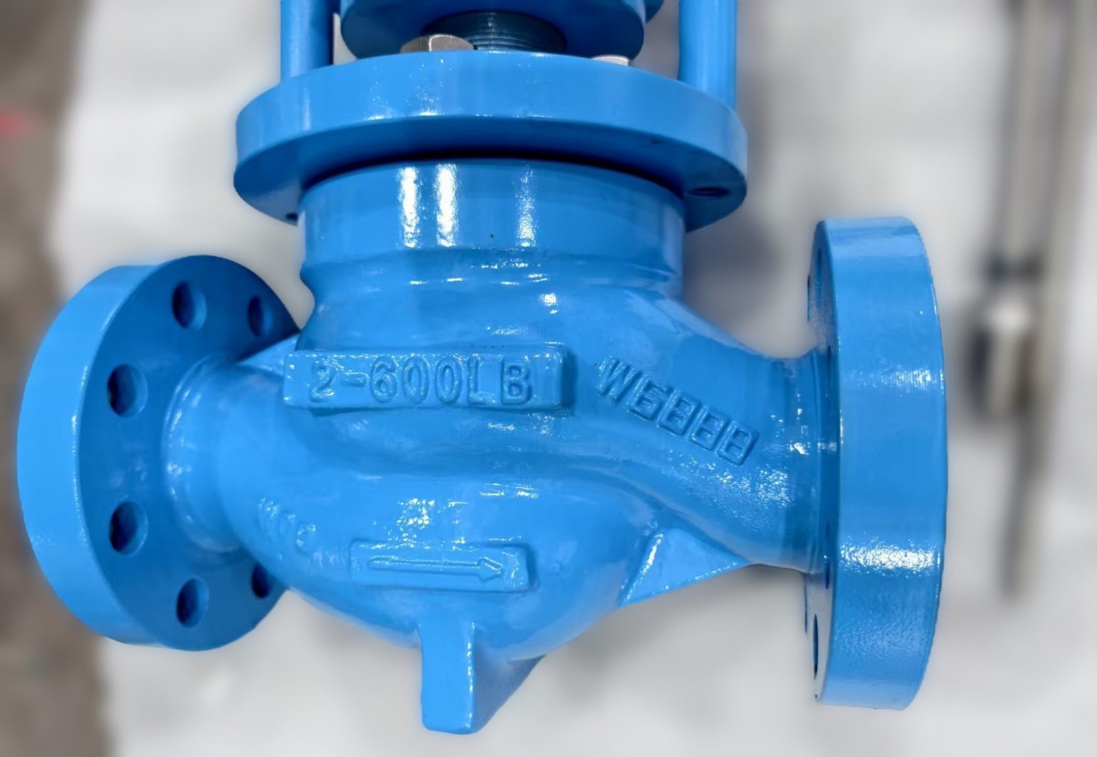 C5 Painting Self-regulated Globe Control Valves – MIWIVAL